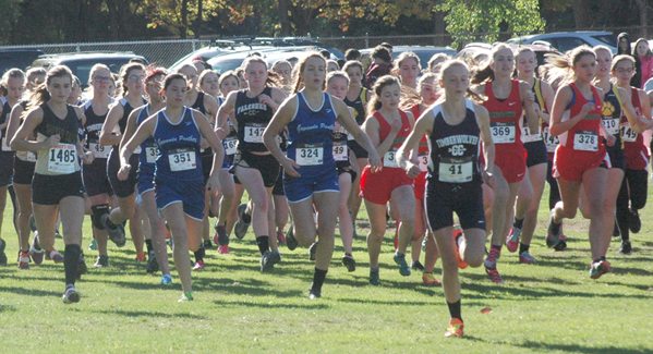 Red Dragon Invite Scheduled For Saturday At Bemus Point Golf Course ...